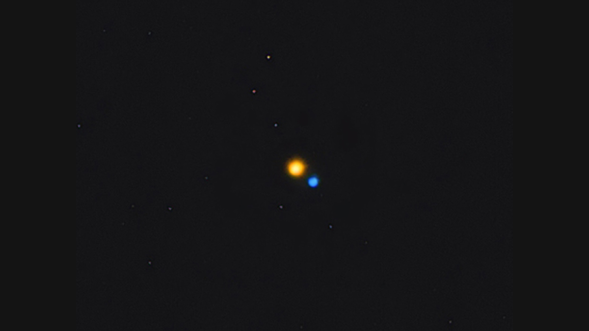 Albireo: A Stunning Double Star of Indigo and Gold – The Garden Astronomer