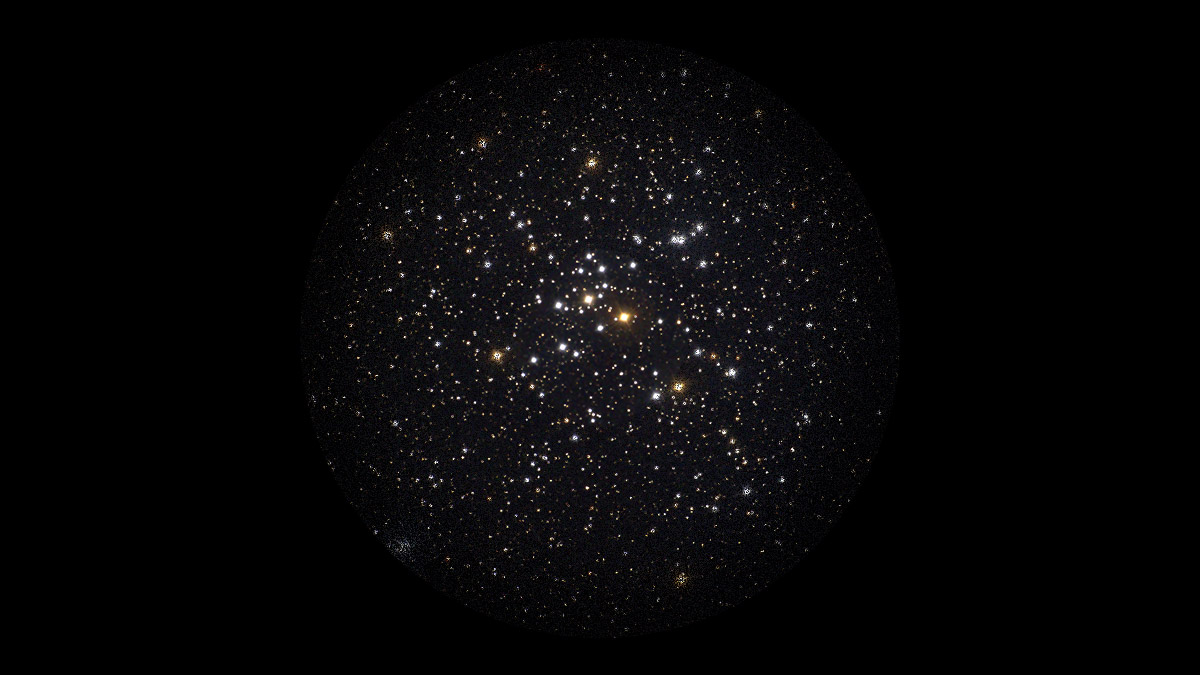 Messier 41 (NGC 2287): The Little Beehive in Canis Major – The Garden ...