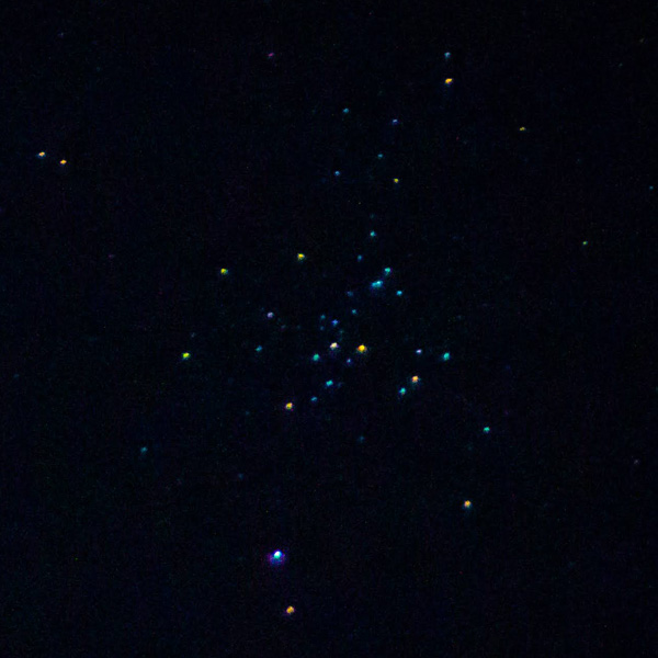 Messier 41 (NGC 2287): The Little Beehive in Canis Major – The Garden ...