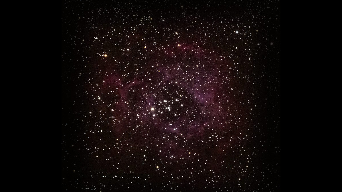 NGC 2244: A Star Cluster in a Rose – The Garden Astronomer