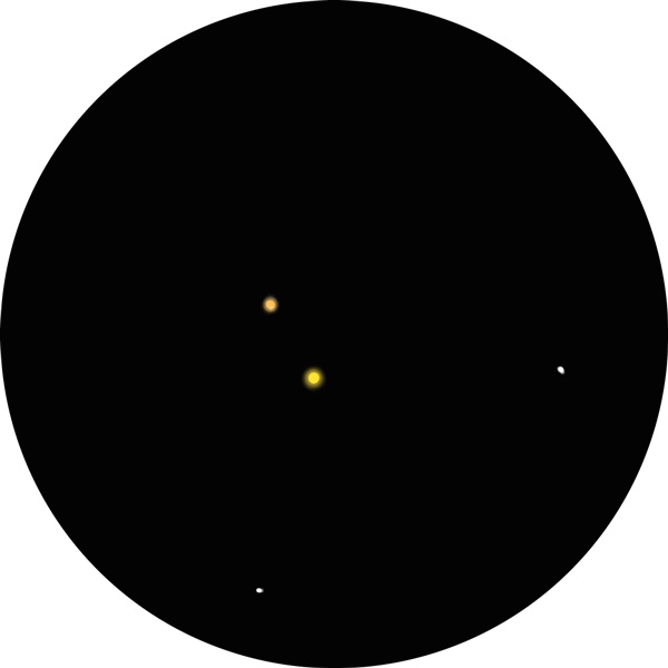 Gamma Leporis: A Rewarding Pair of Mustard and Orange – The Garden ...