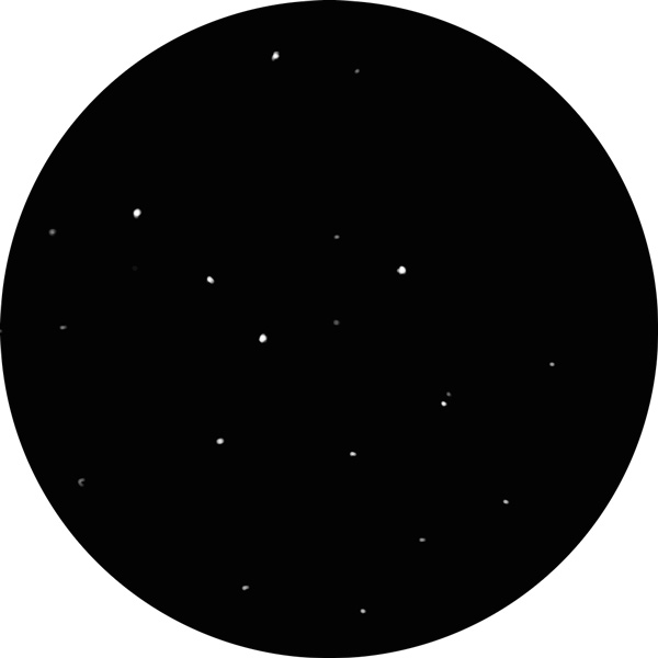 IC 4665: Say “Hi” to a Brilliant Star Cluster and a Black Cat – The ...