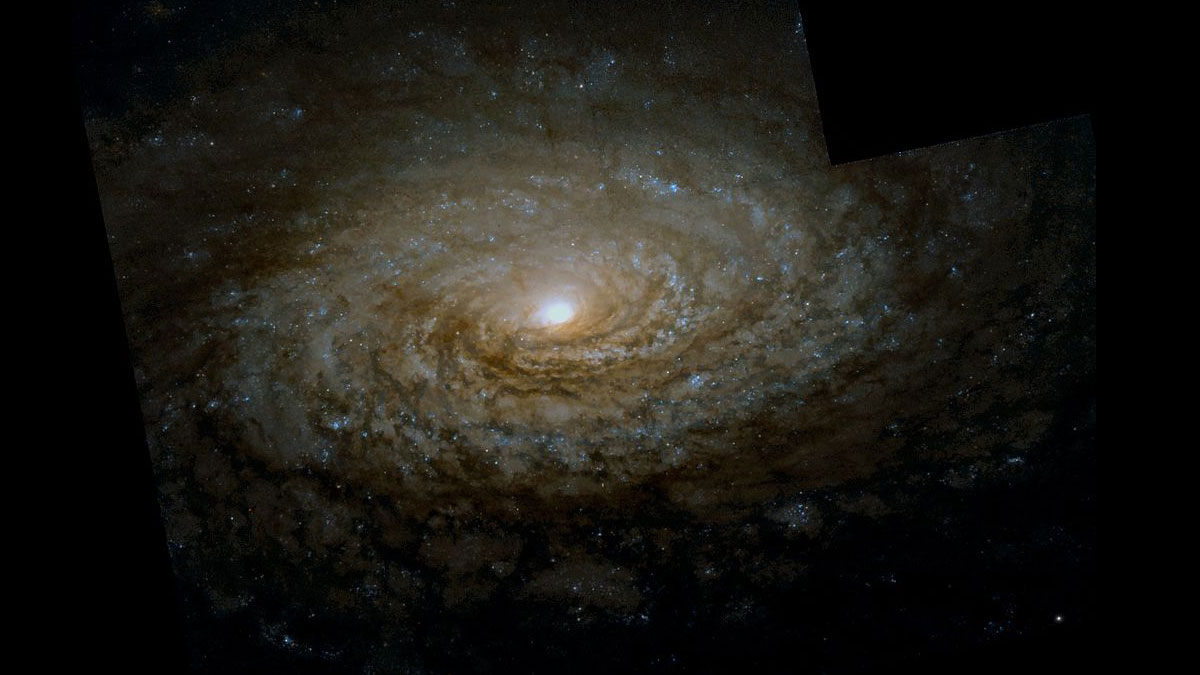 Messier 63 (NGC 5055): The Sunflower Galaxy – The Garden Astronomer