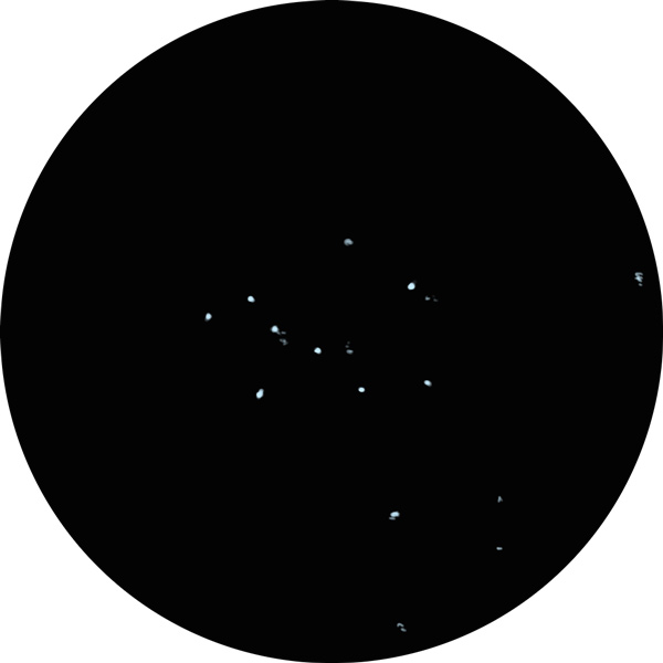 NGC 7063: A Cluster Looking Like the Big Dipper – The Garden Astronomer