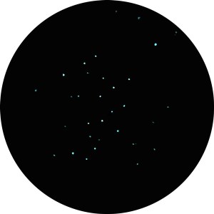 Messier 67 (NGC 2682): The Ancient King Cobra Cluster – The Garden ...