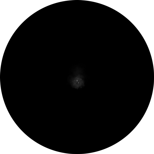 Caldwell 56: The Haunting Skull Nebula in Cetus – The Garden Astronomer