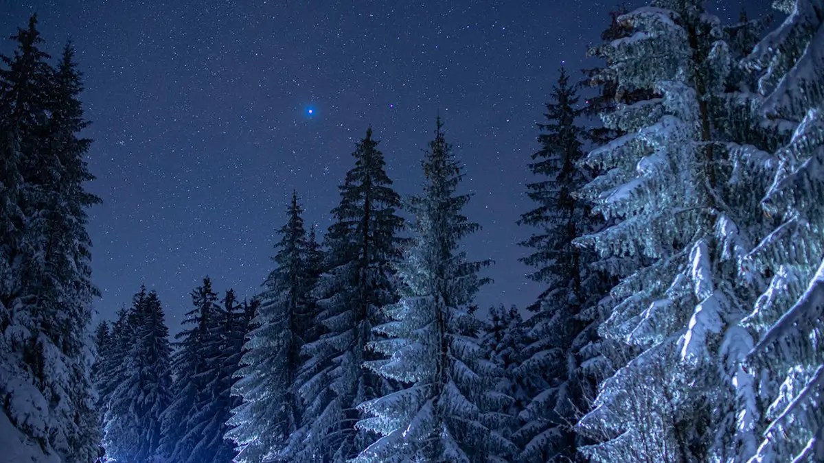 The Quadrantids Meteor Shower and the Turning of the Year – The Garden ...